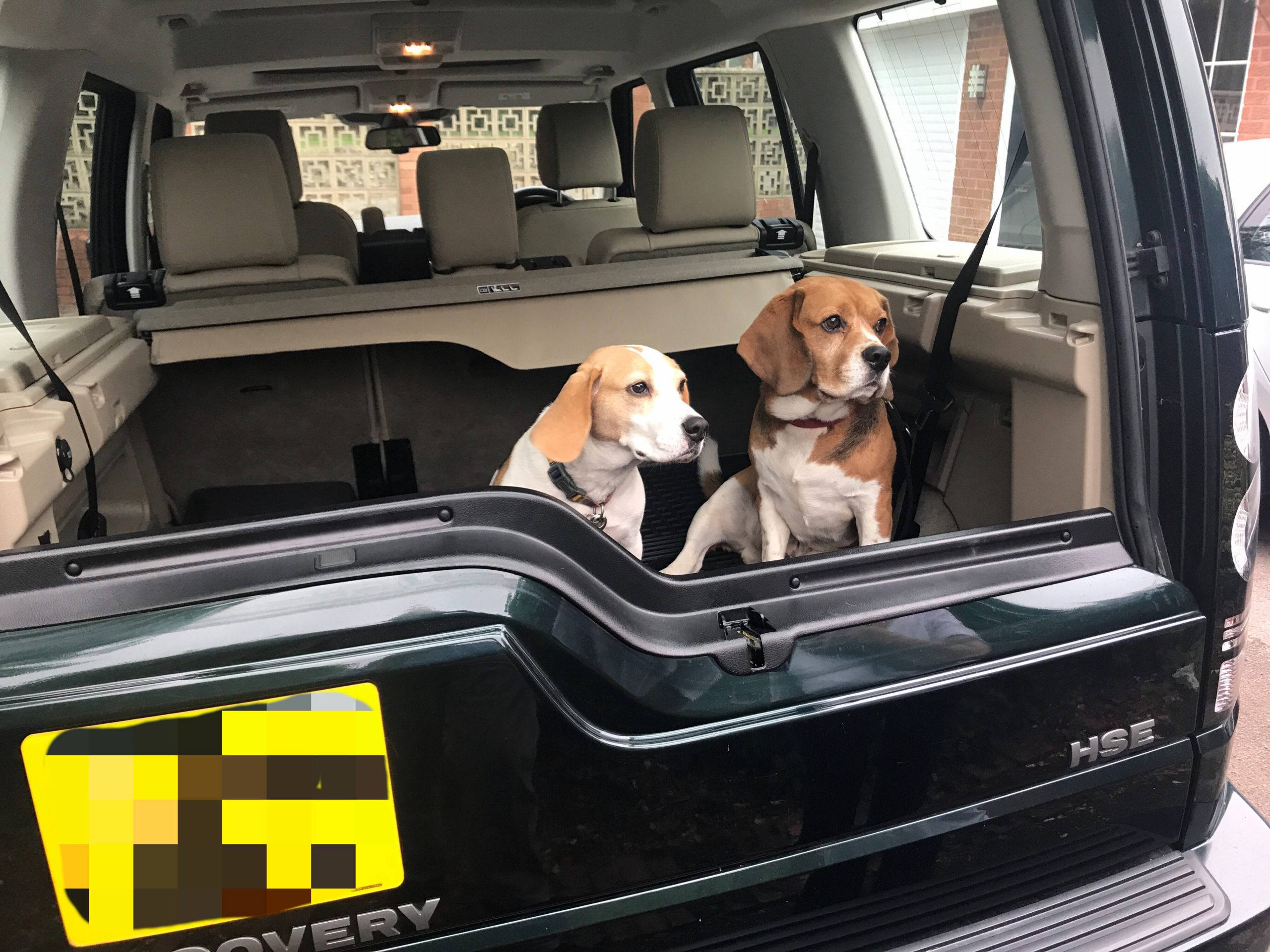 Discovery 4 Joins the GLR Fleet – Green Land Rover